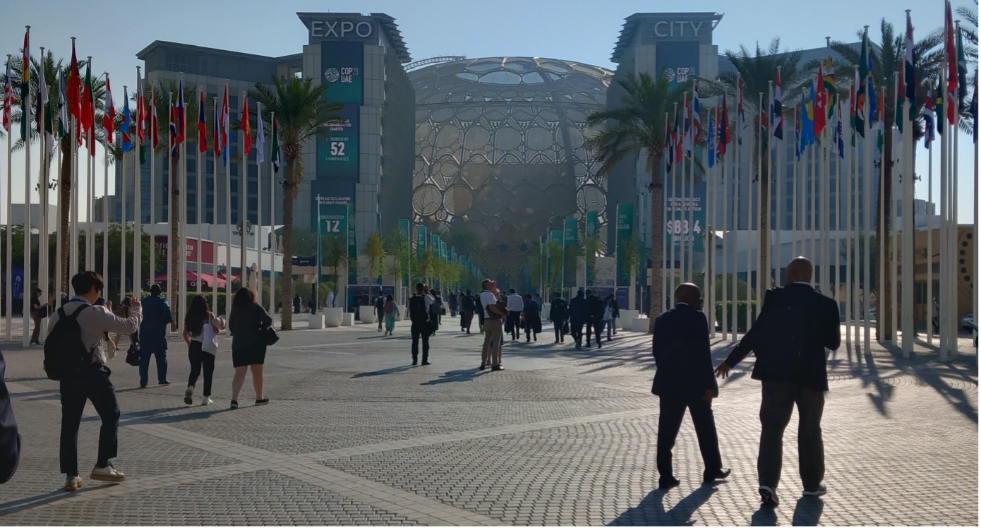 COP28 & sustainable food systems: on the agenda now, on the table soon ...