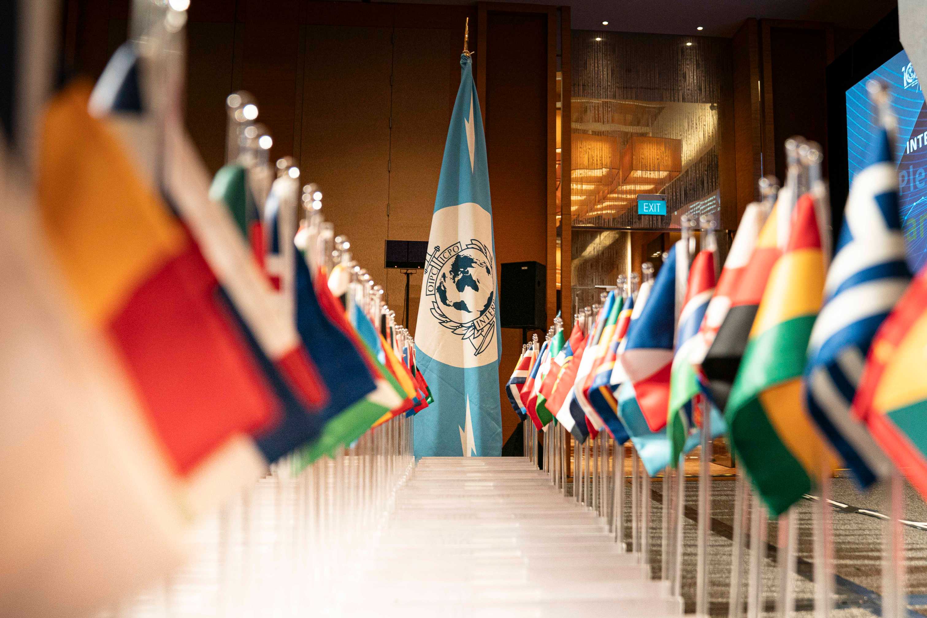Challenges to Global Security: INTERPOL’s Role in Founding ...