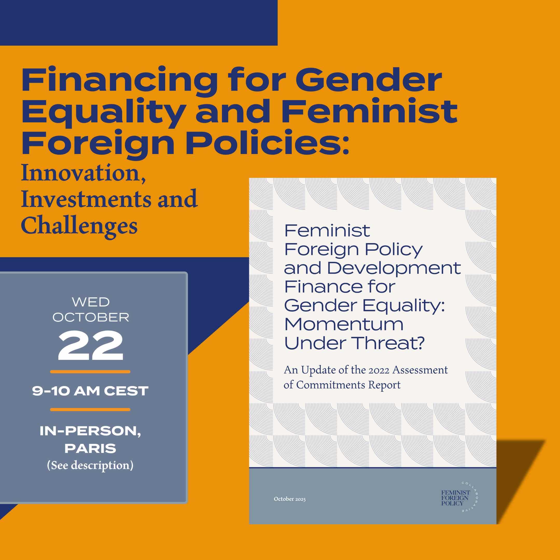 Financing For Gender Equality And Feminist Foreign Policies Innovation 3764
